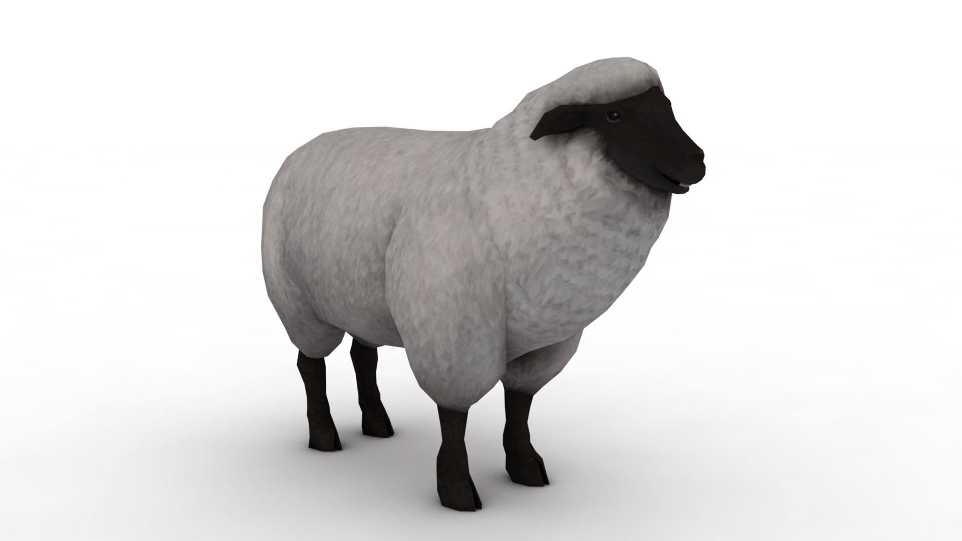 Sheep Model - TurboSquid 1962824