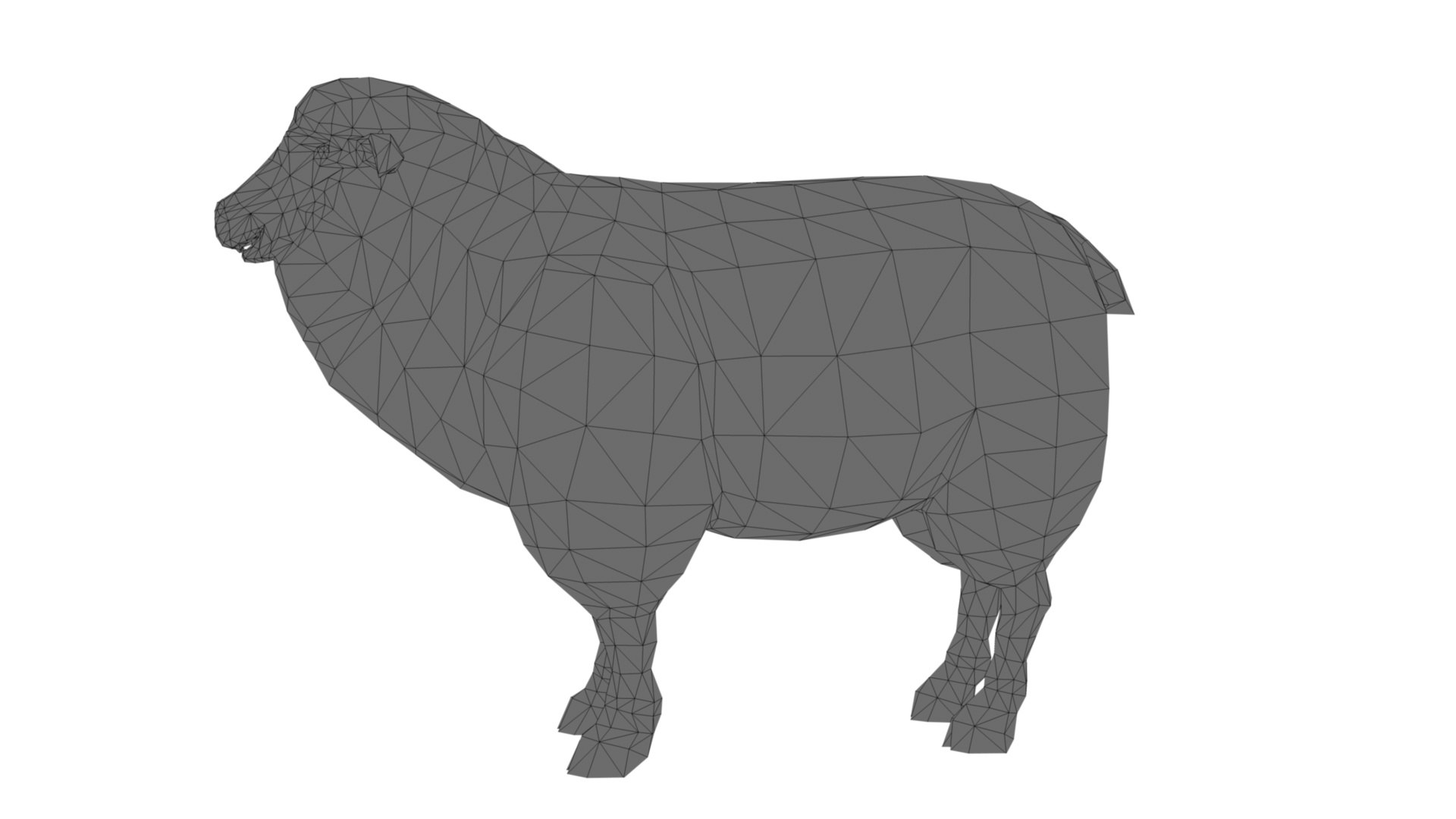 Sheep Model - TurboSquid 1962824