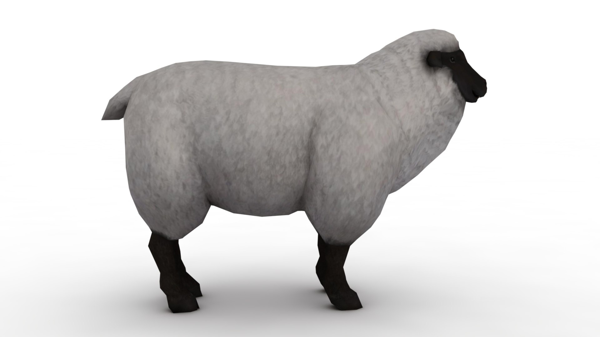 Sheep Model - TurboSquid 1962824