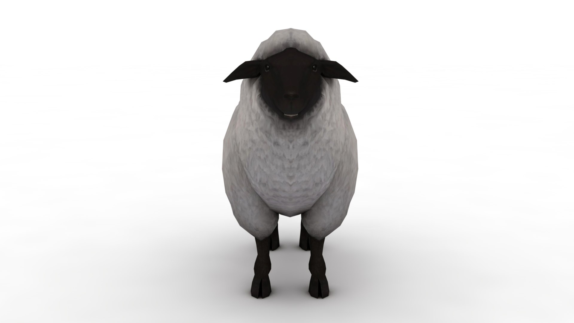 Sheep Model - TurboSquid 1962824