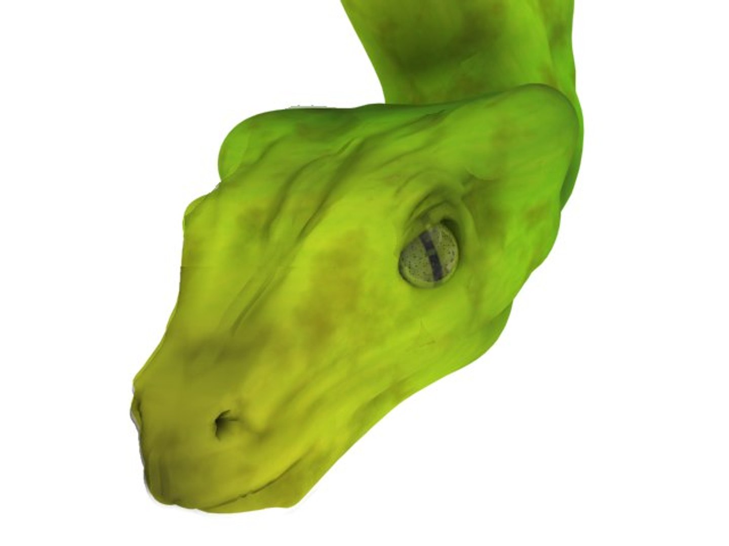 Emerald Boa 3d Model