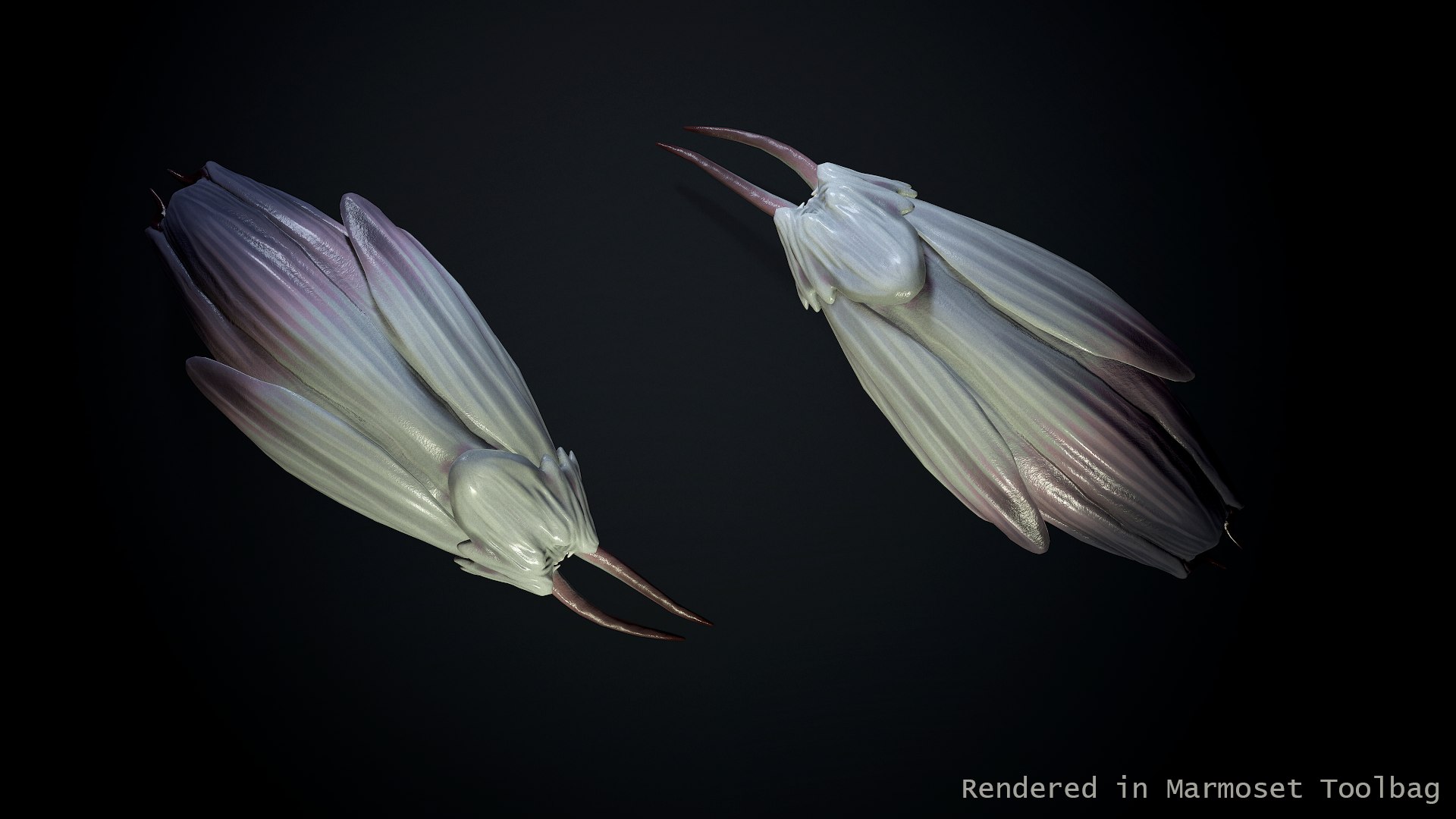 3D Clam Creature1 - TurboSquid 2126823