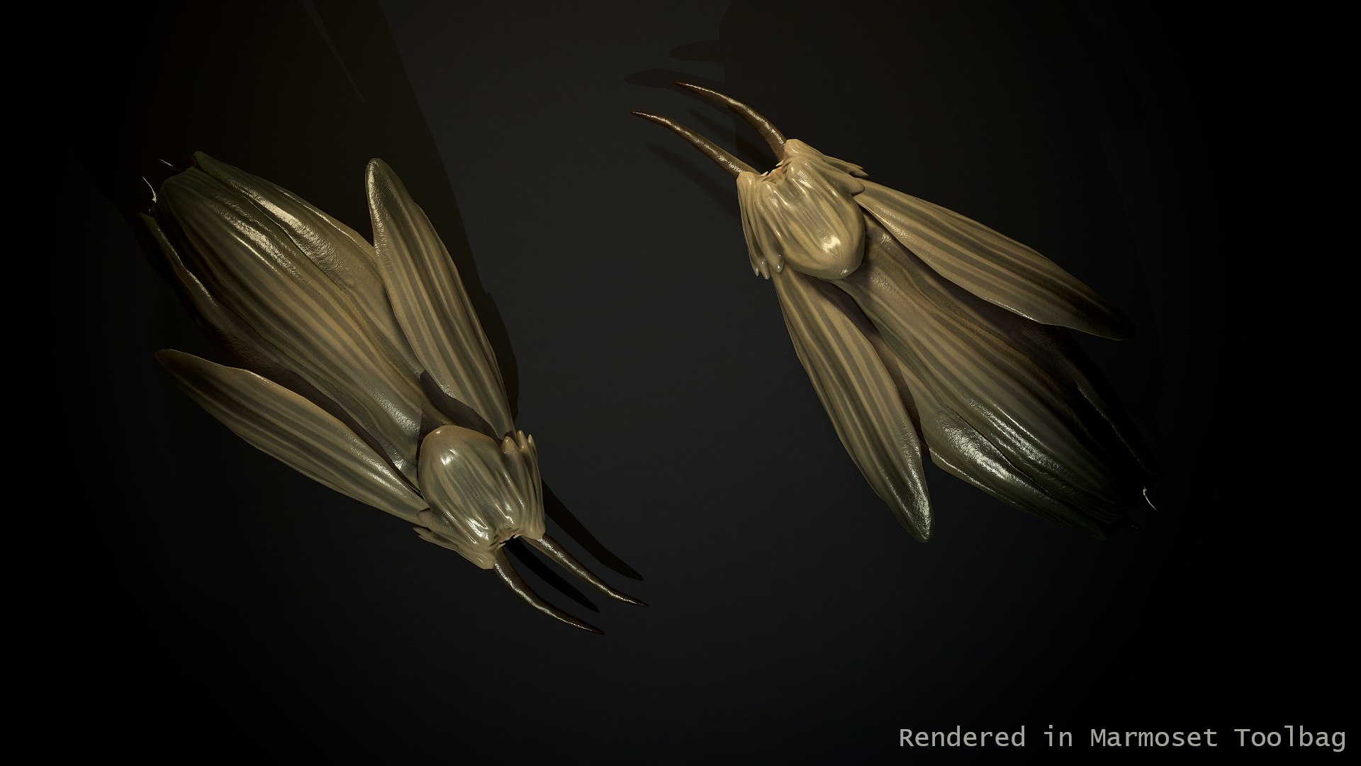 3D Clam Creature1 - TurboSquid 2126823