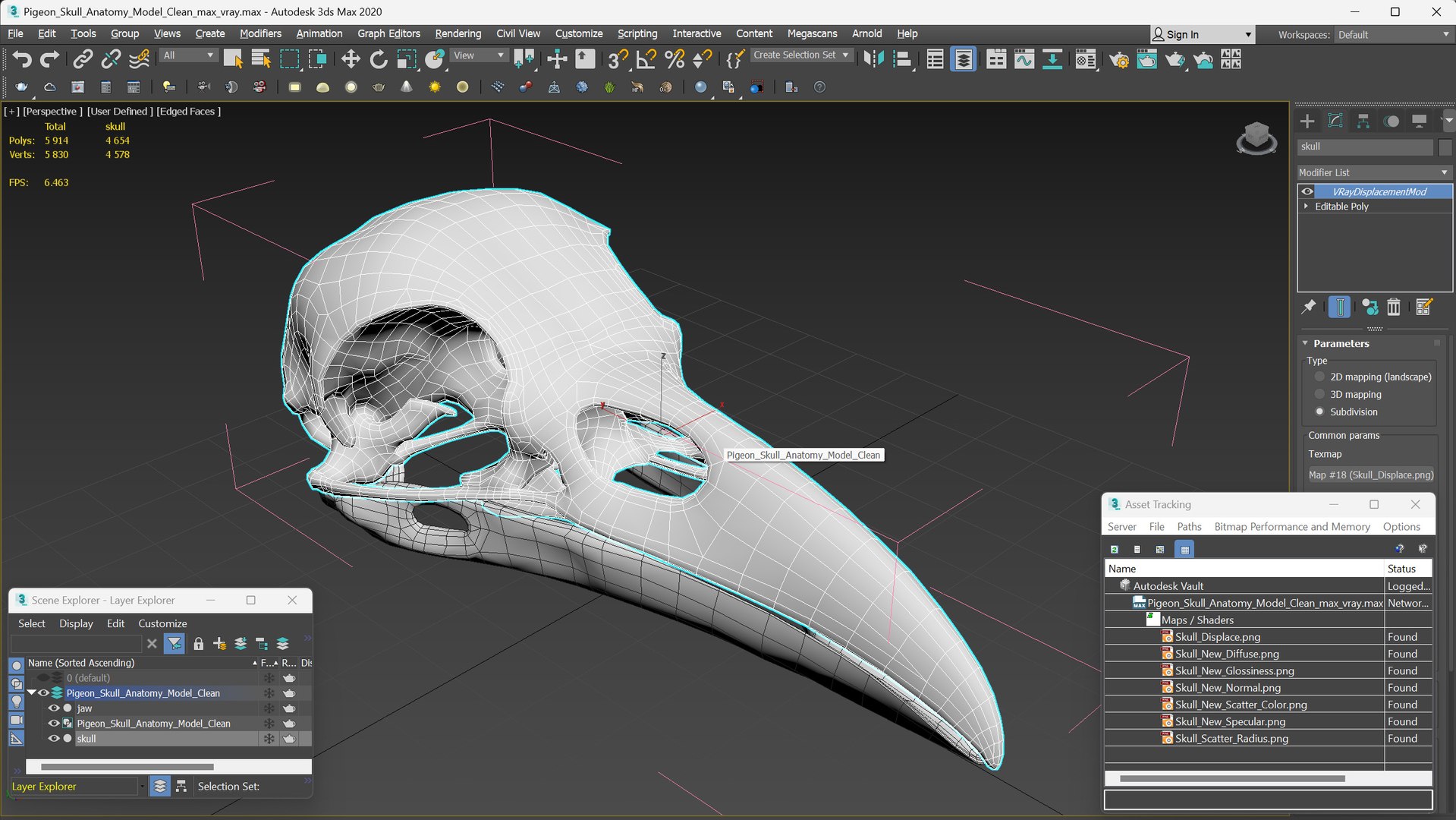 Crow Raven Skull Anatomy Model Clean 3D Model - TurboSquid 2371505