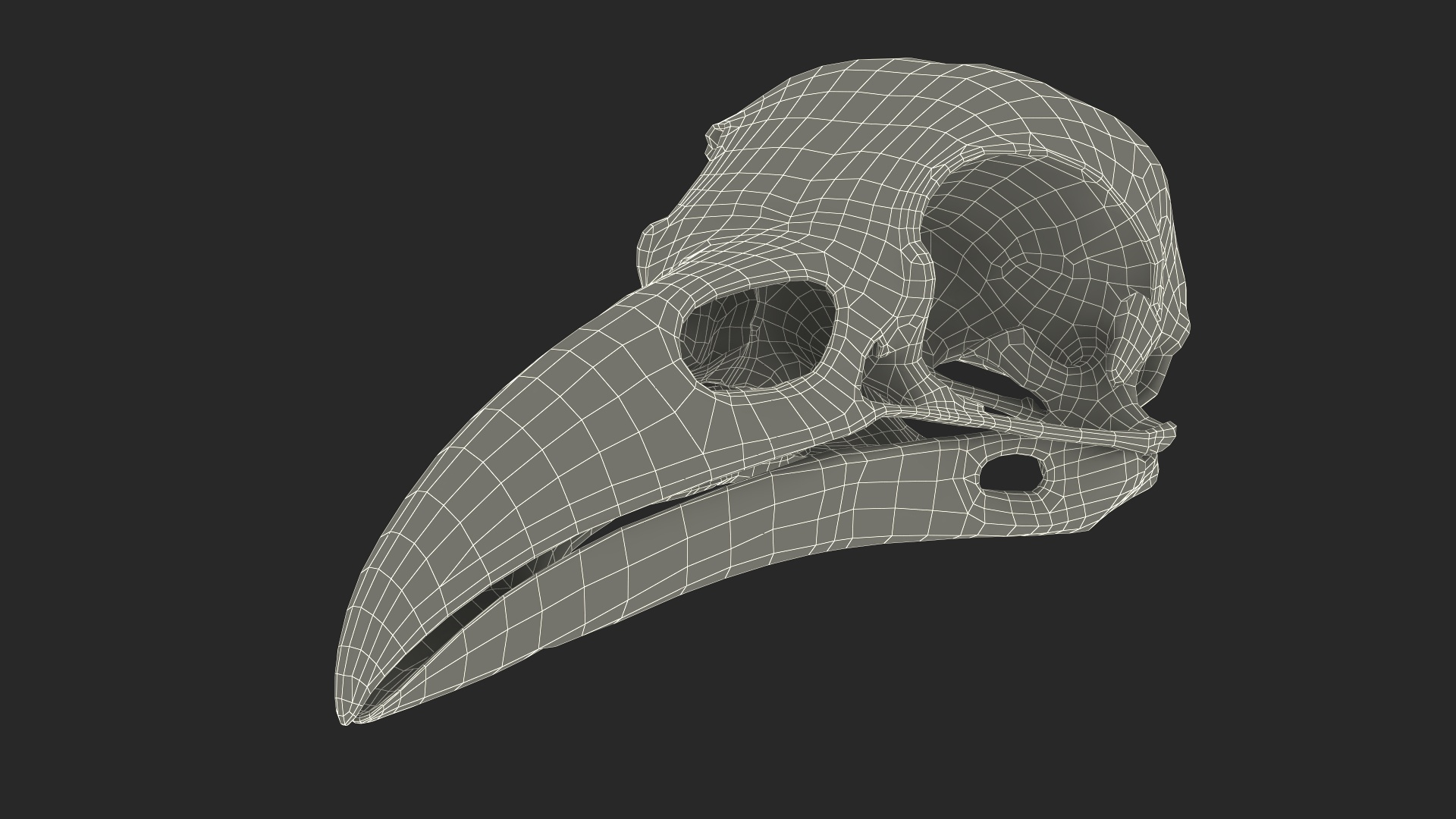 Crow Raven Skull Anatomy Model Clean 3D Model - TurboSquid 2371505