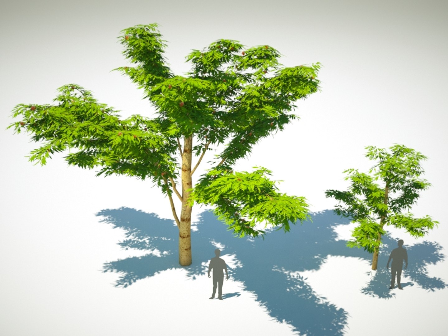 Trees arch gpu model - TurboSquid 1156033