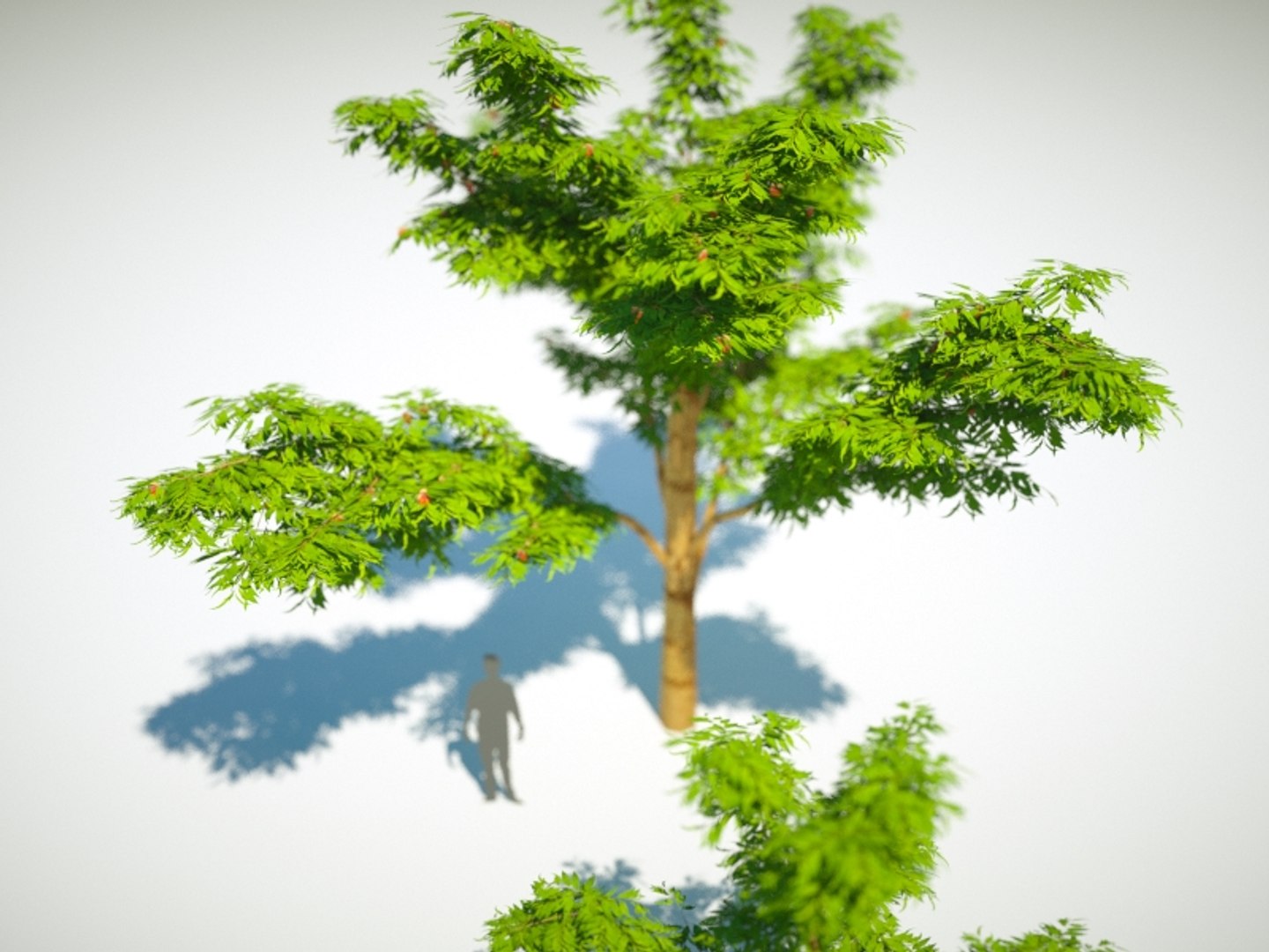 Trees arch gpu model - TurboSquid 1156033