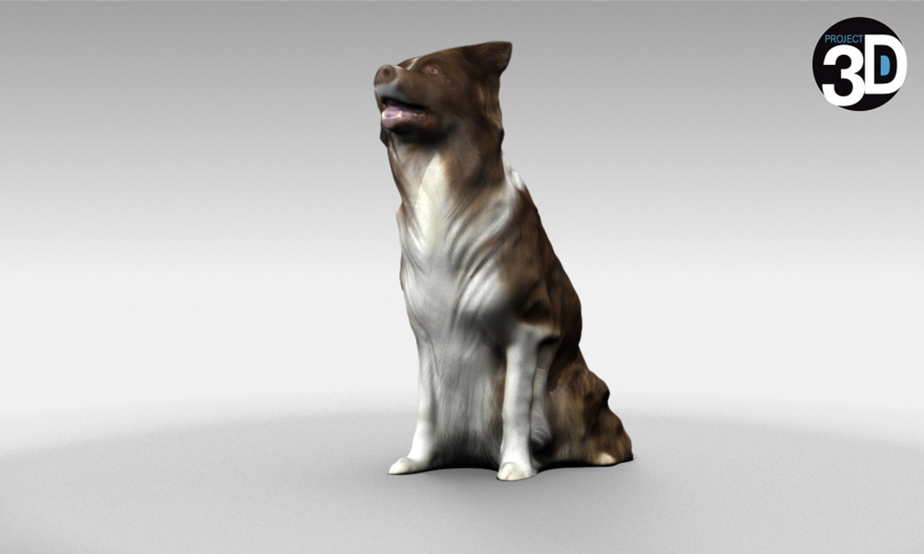 Scanned Collie 3D Model - TurboSquid 1276154