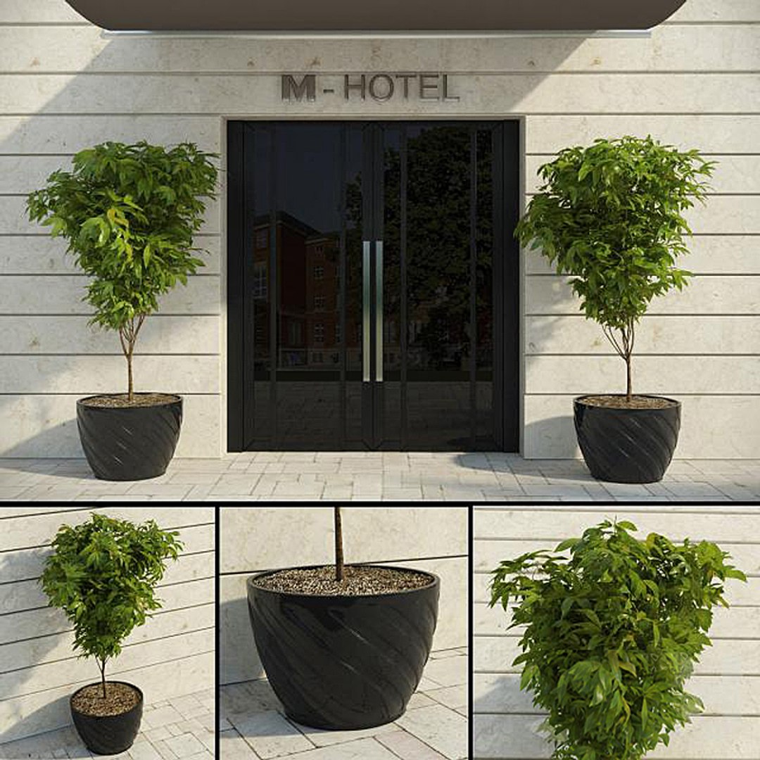 3d Modern Decorative Tree