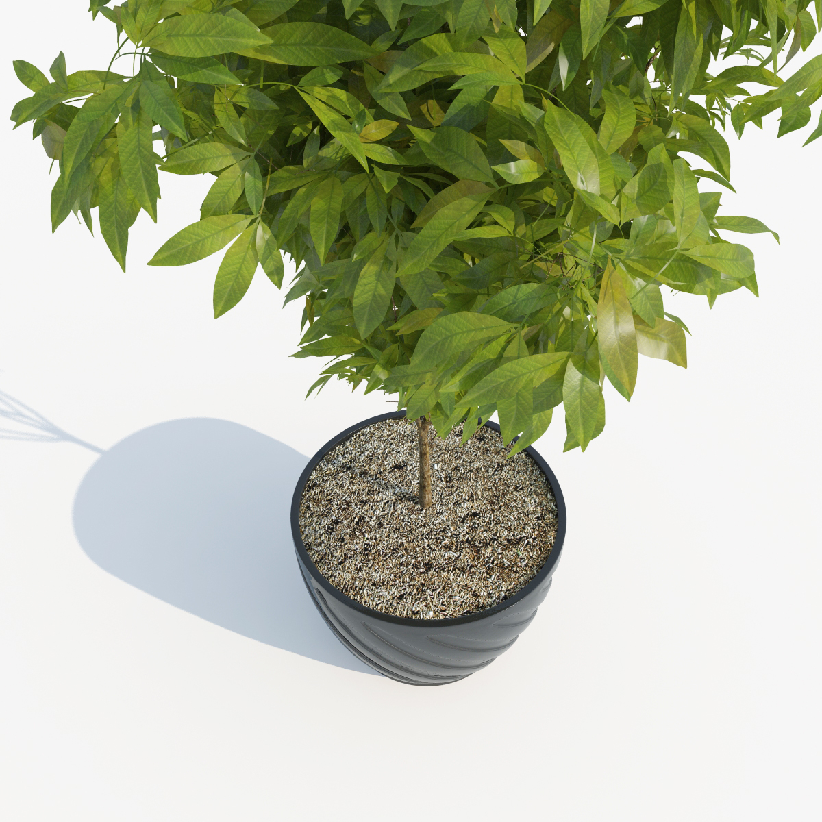 3d modern decorative tree