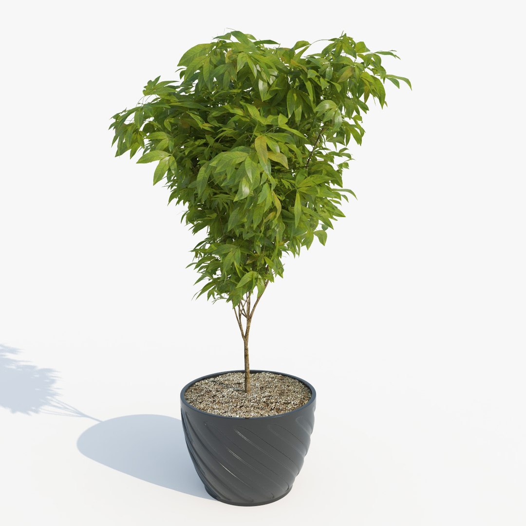 3d Modern Decorative Tree