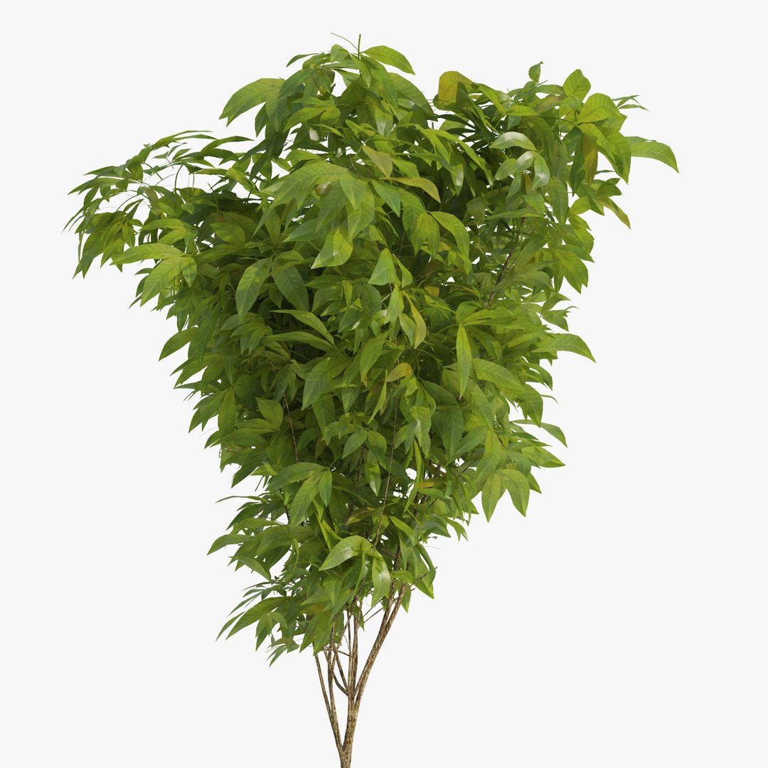 3d Modern Decorative Tree