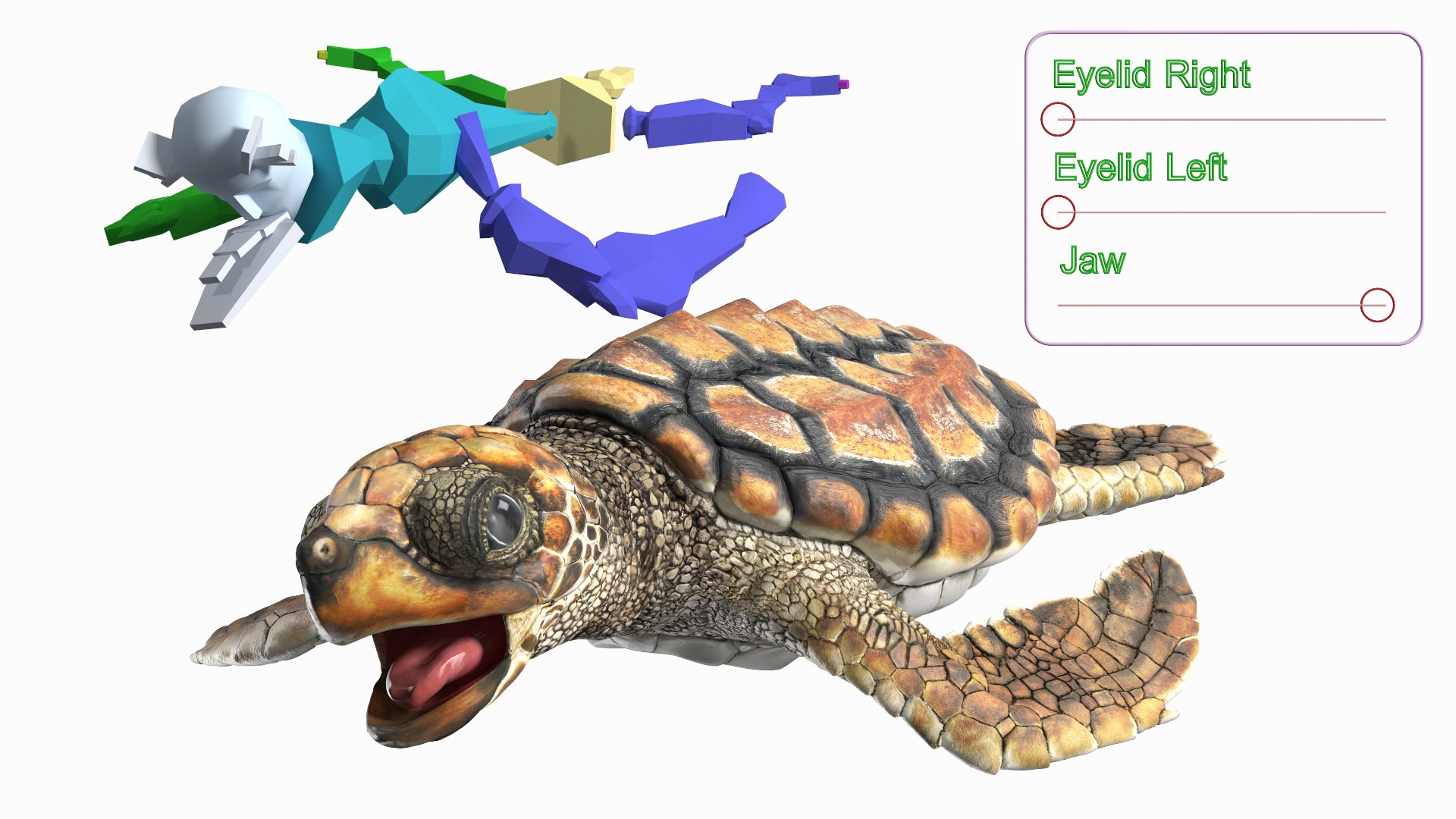 3D Baby Sea Turtle Brown Rigged - TurboSquid 2195616