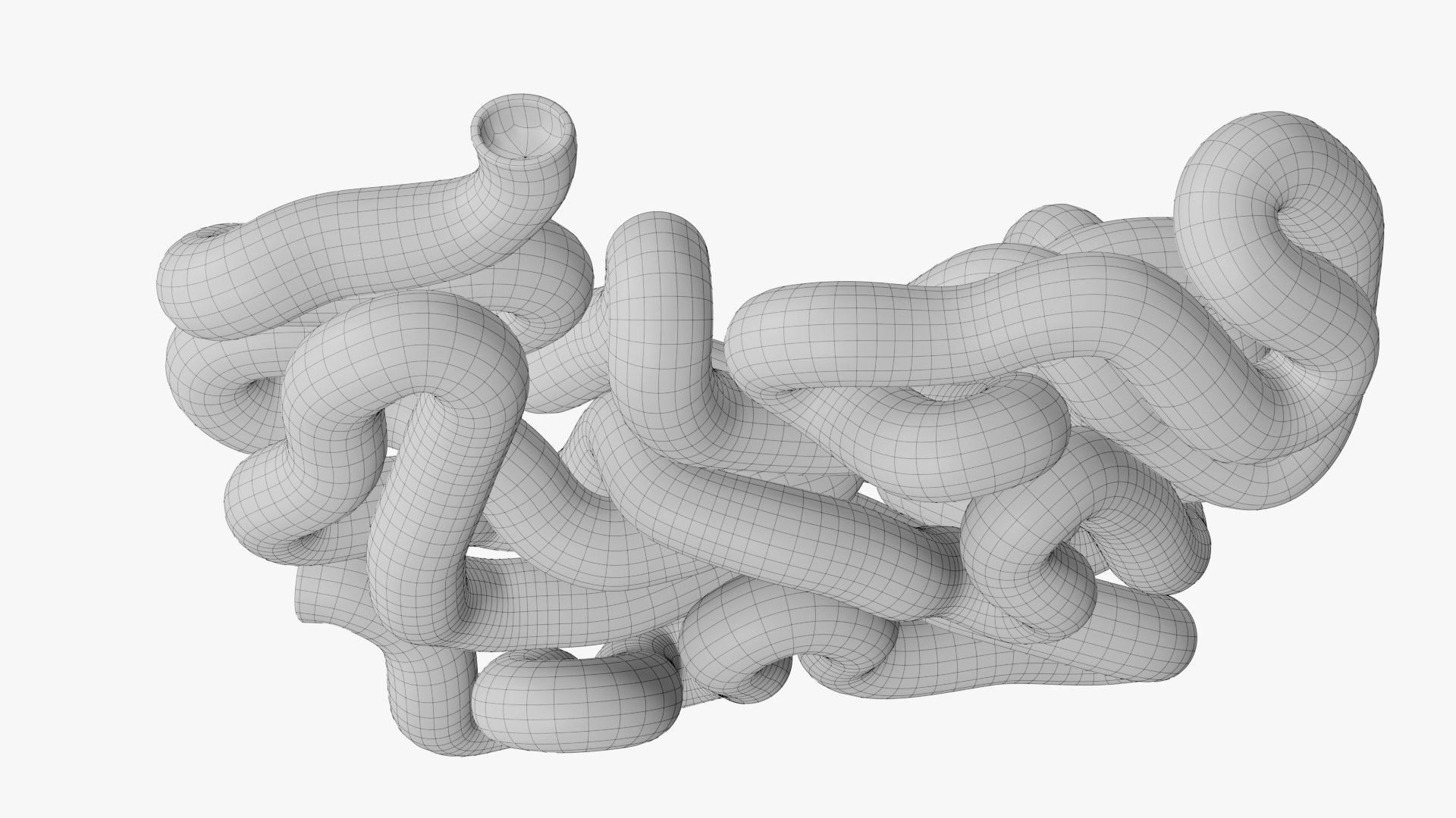3d Human Small Intestine Model Turbosquid 1905030