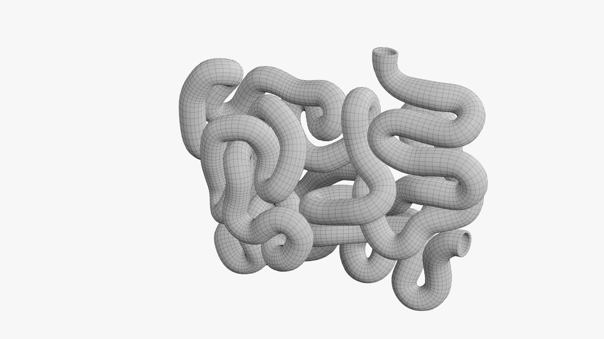 3D Human Small Intestine Model - TurboSquid 1905030