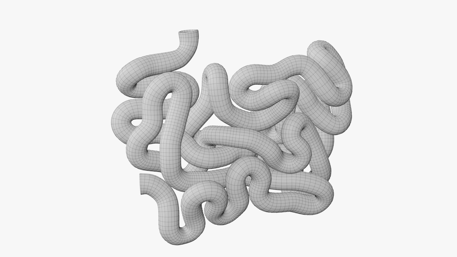 3D Human Small Intestine Model - TurboSquid 1905030