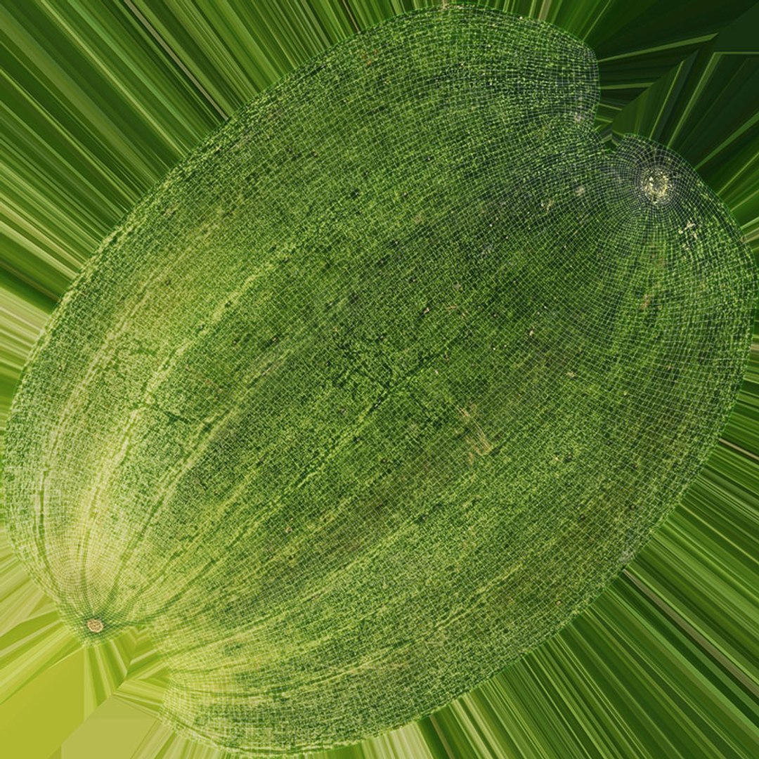 Cucumber Collection 3D Model - TurboSquid 2367793