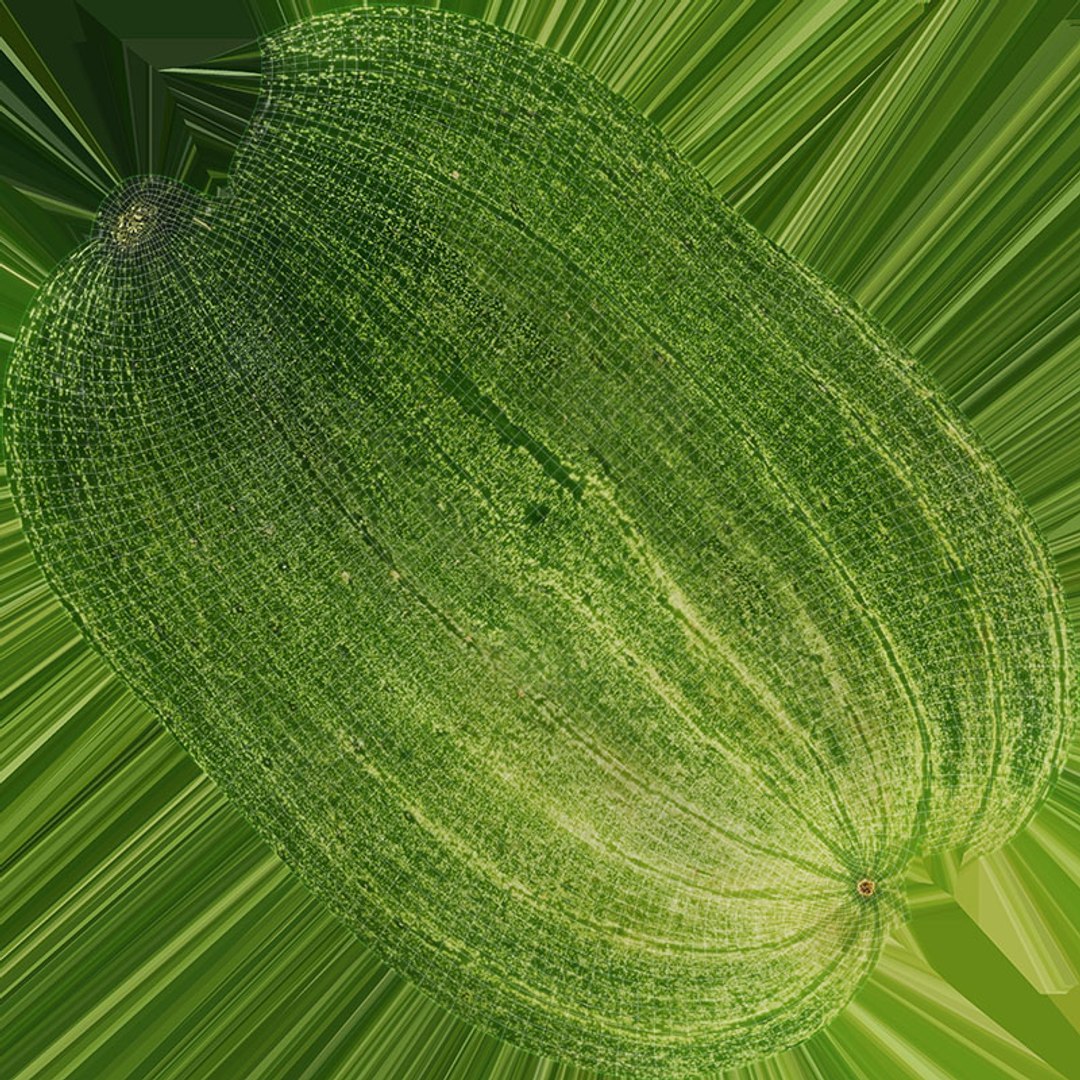 Cucumber Collection 3D Model - TurboSquid 2367793