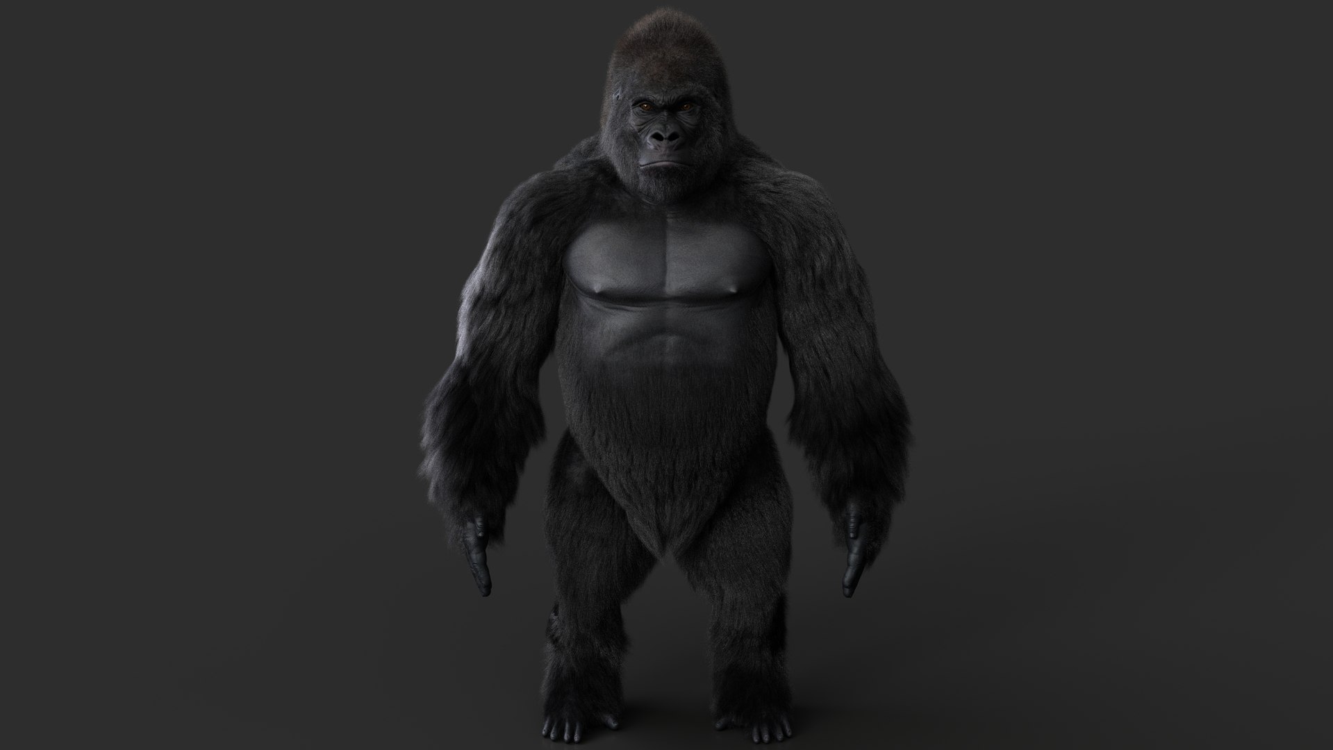 GORILLA 2 RIG XGEN-CORE 3D Model - TurboSquid 2253813