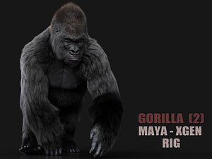 Gorilla 3D Models for Download | TurboSquid