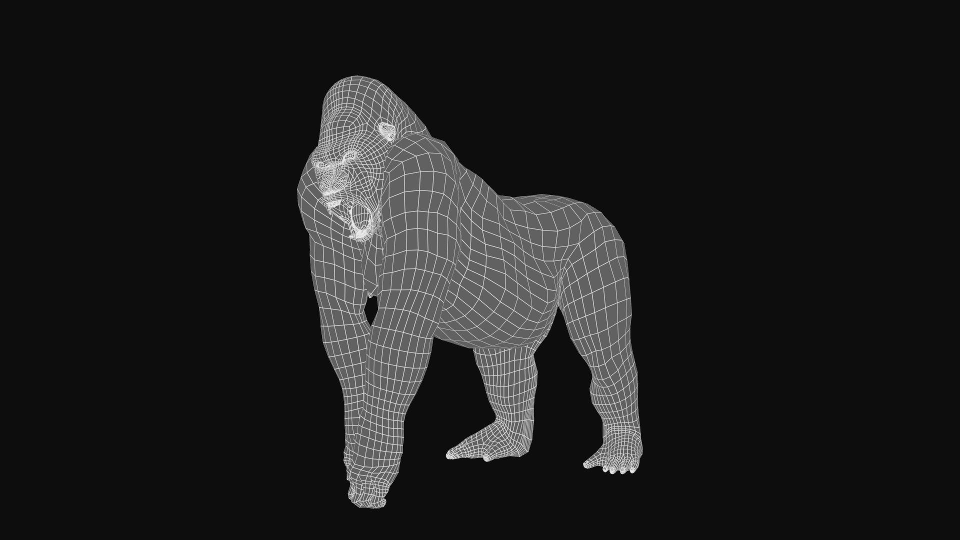 GORILLA 2 RIG XGEN-CORE 3D Model - TurboSquid 2253813