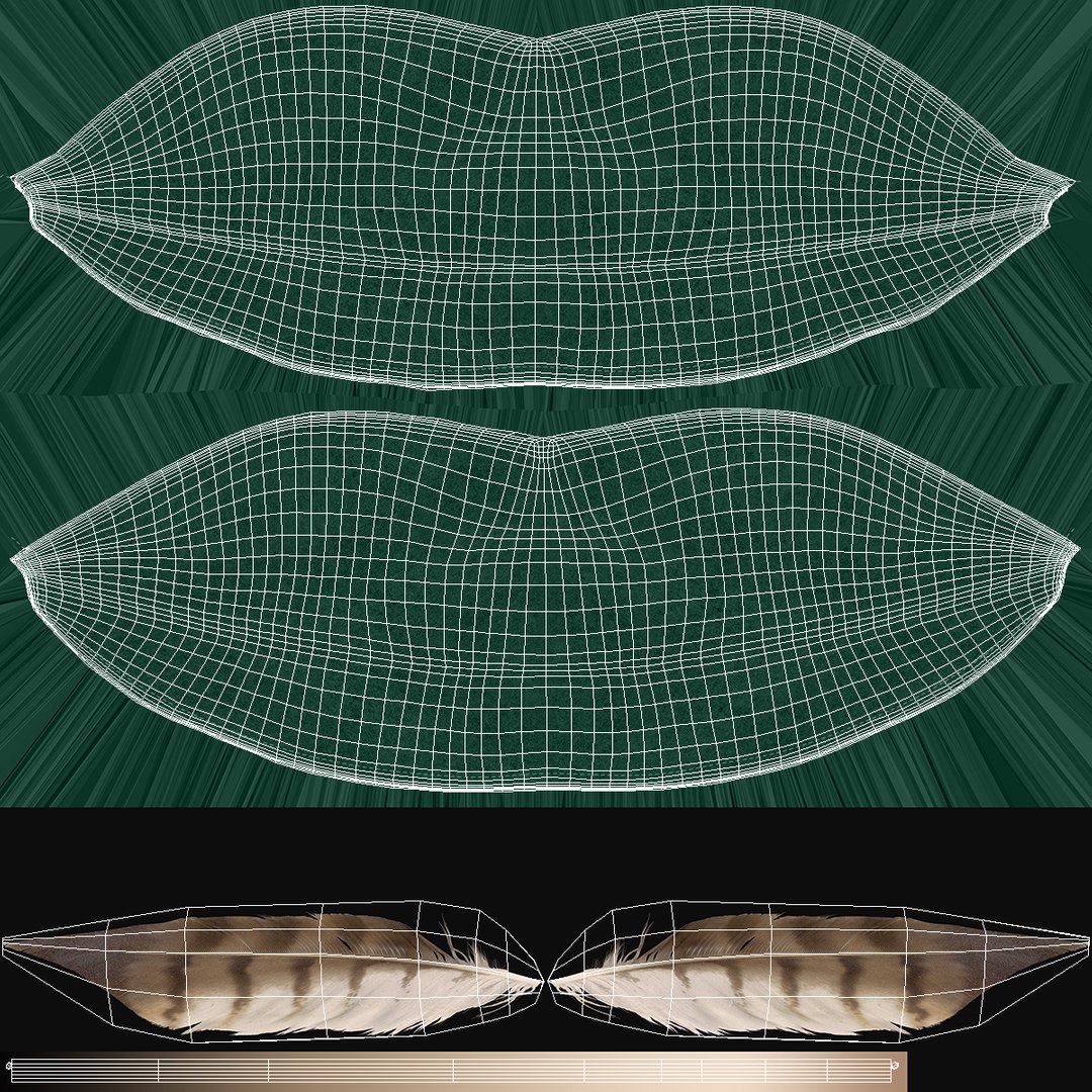 Robin hood cap feather 3D - TurboSquid 1587412