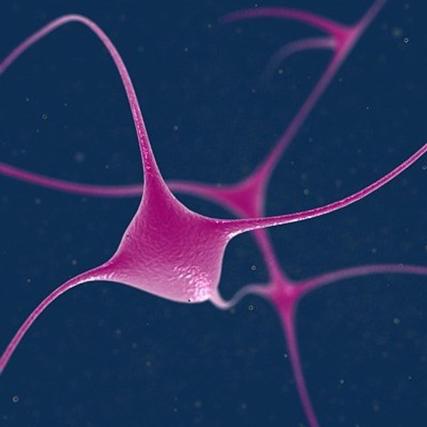 micro microbiology bacteria cell 3d model