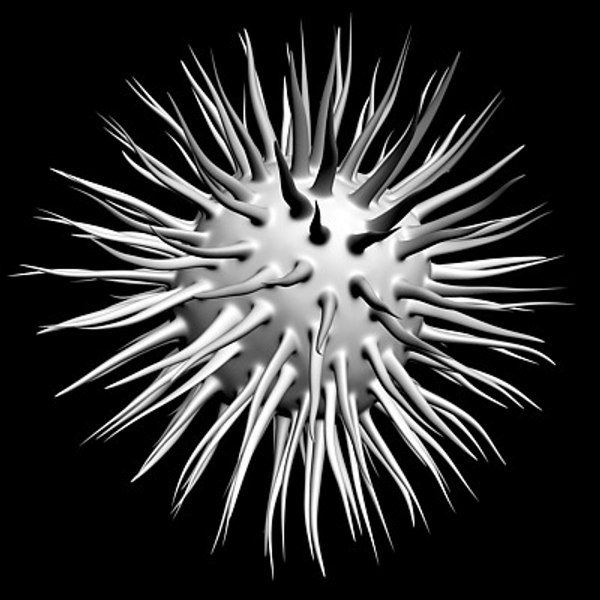 micro microbiology bacteria cell 3d model