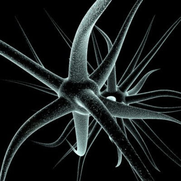 micro microbiology bacteria cell 3d model