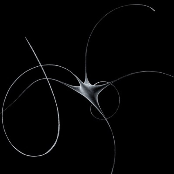 micro microbiology bacteria cell 3d model