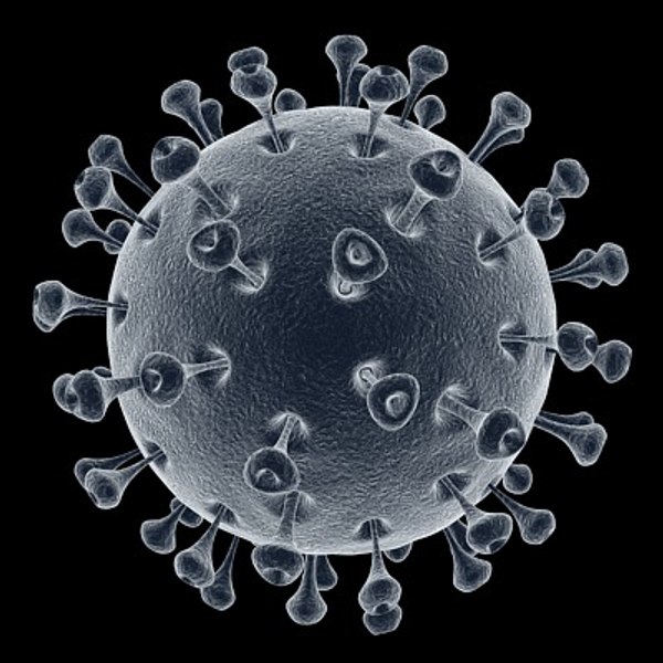 micro microbiology bacteria cell 3d model