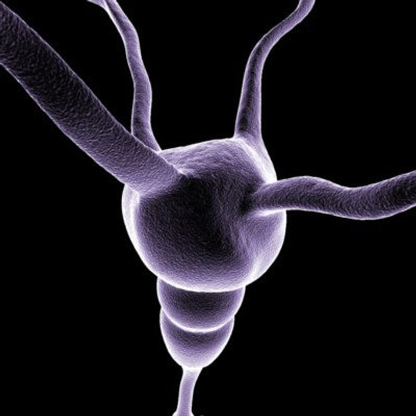 micro microbiology bacteria cell 3d model