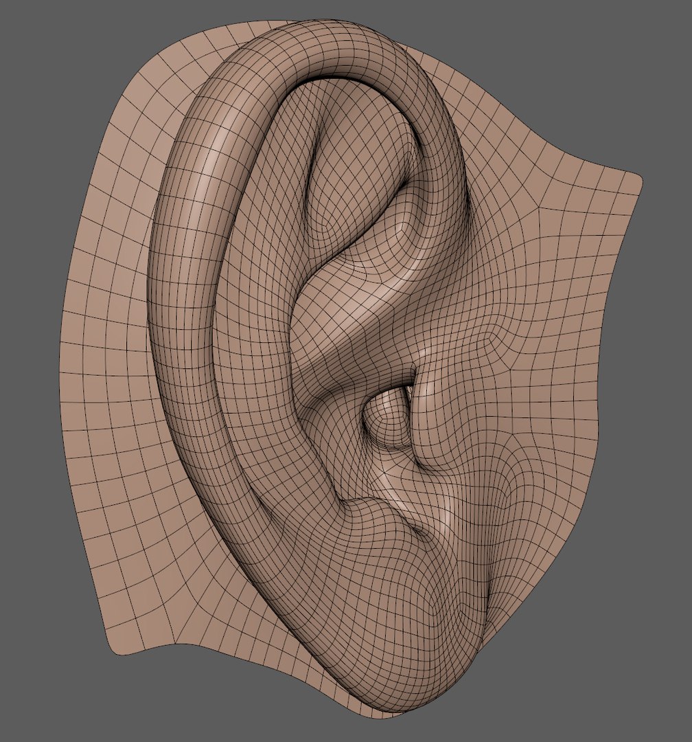 Human Ear Model - TurboSquid 1246741