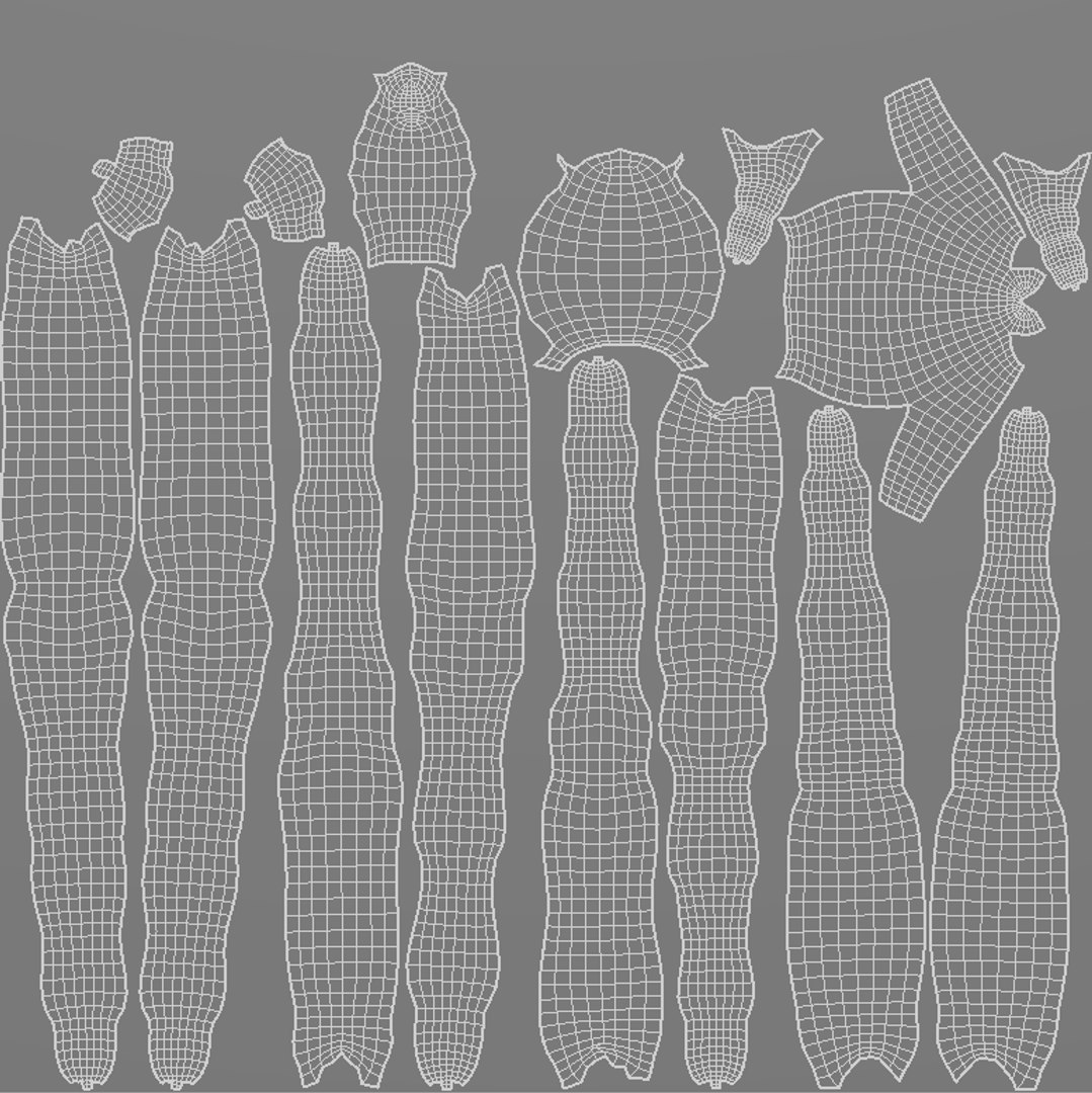 Huntsman Spider 3D Model - TurboSquid 2181166