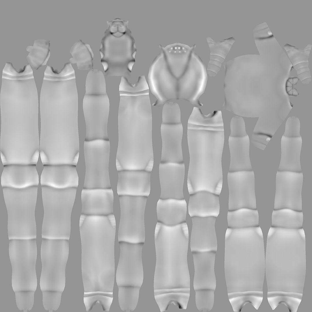 Huntsman Spider 3D Model - TurboSquid 2181166