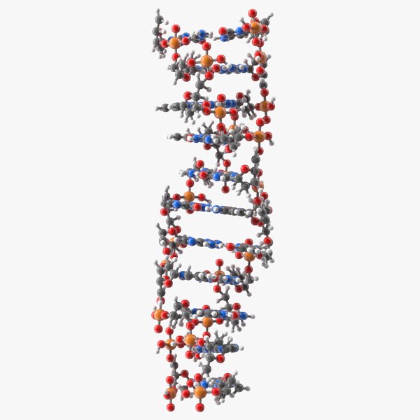 Free 3D Dna Models | TurboSquid