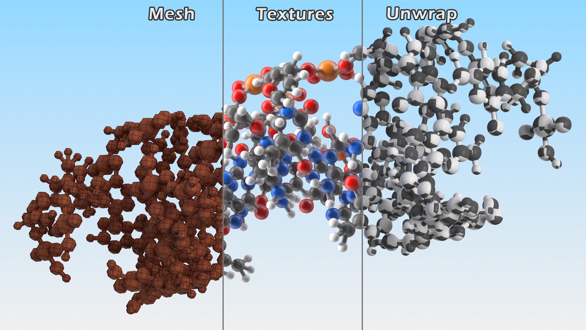 3D Z Form Deoxyribonucleic Acid Structure - TurboSquid 1836547