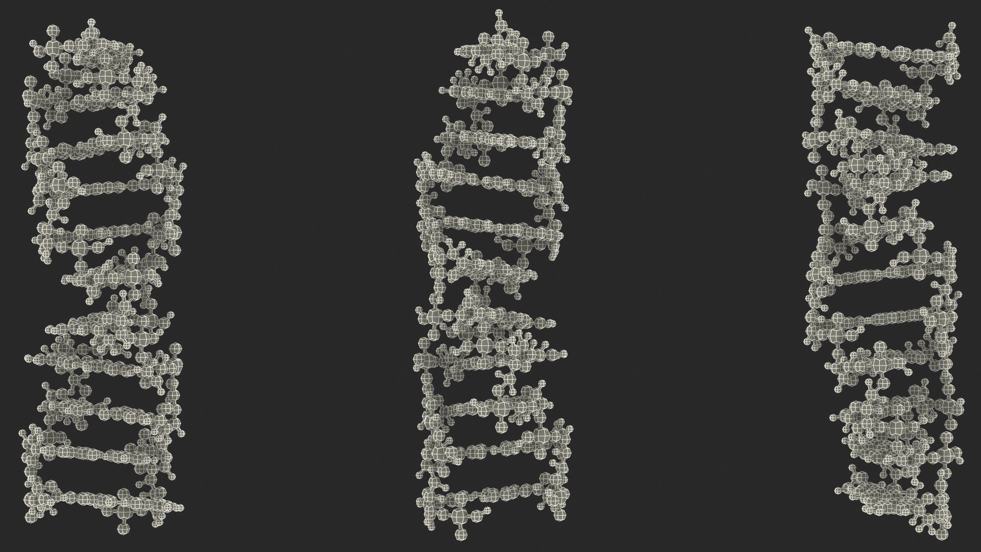 3D Z Form Deoxyribonucleic Acid Structure - TurboSquid 1836547