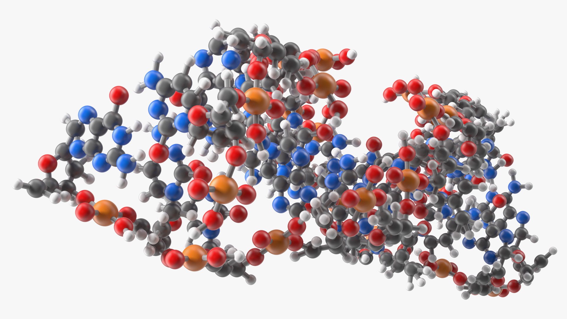 3D Z Form Deoxyribonucleic Acid Structure - TurboSquid 1836547
