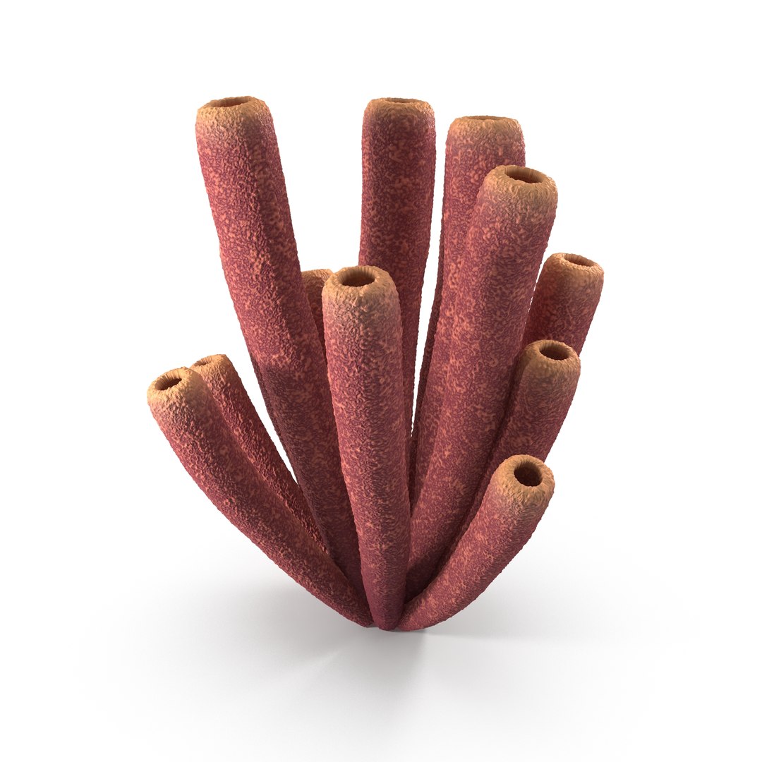 3D Purple Tube Sponges - TurboSquid 2235537