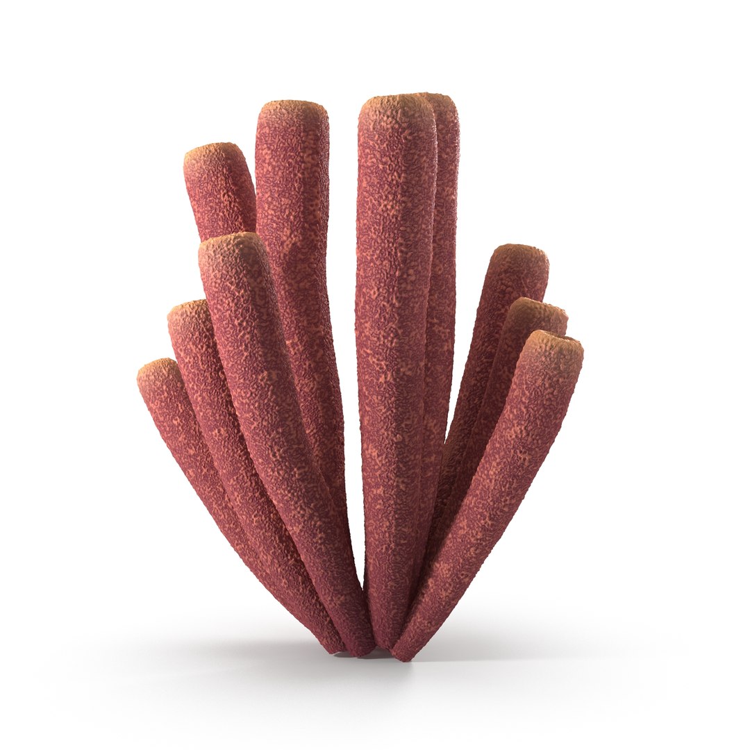 3D Purple Tube Sponges - TurboSquid 2235537