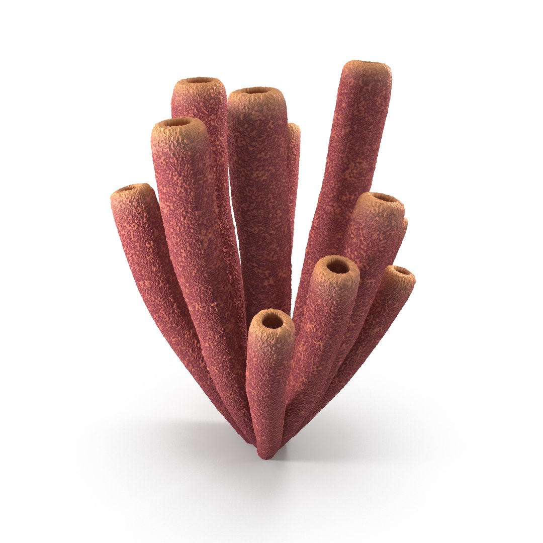 3D Purple Tube Sponges - TurboSquid 2235537