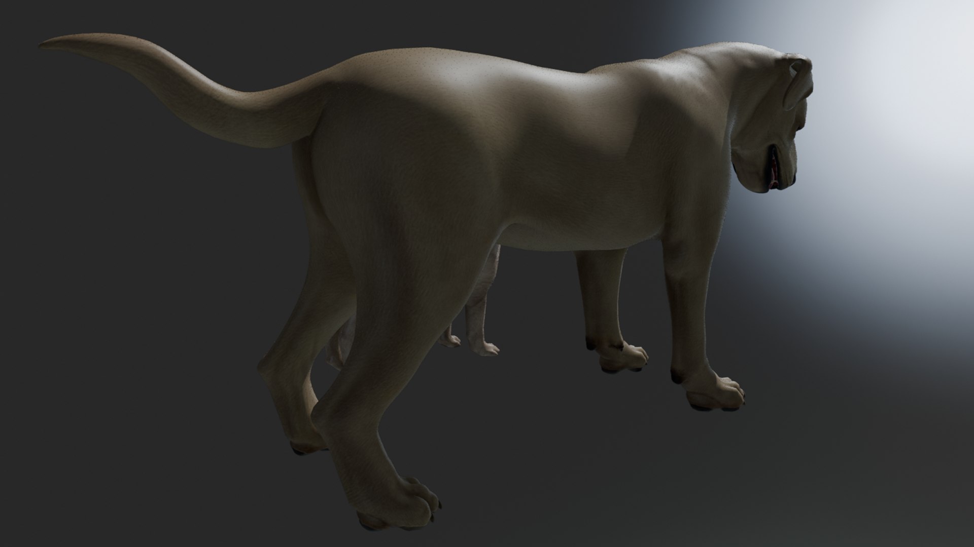 3D Model Labrador Family - TurboSquid 2310627