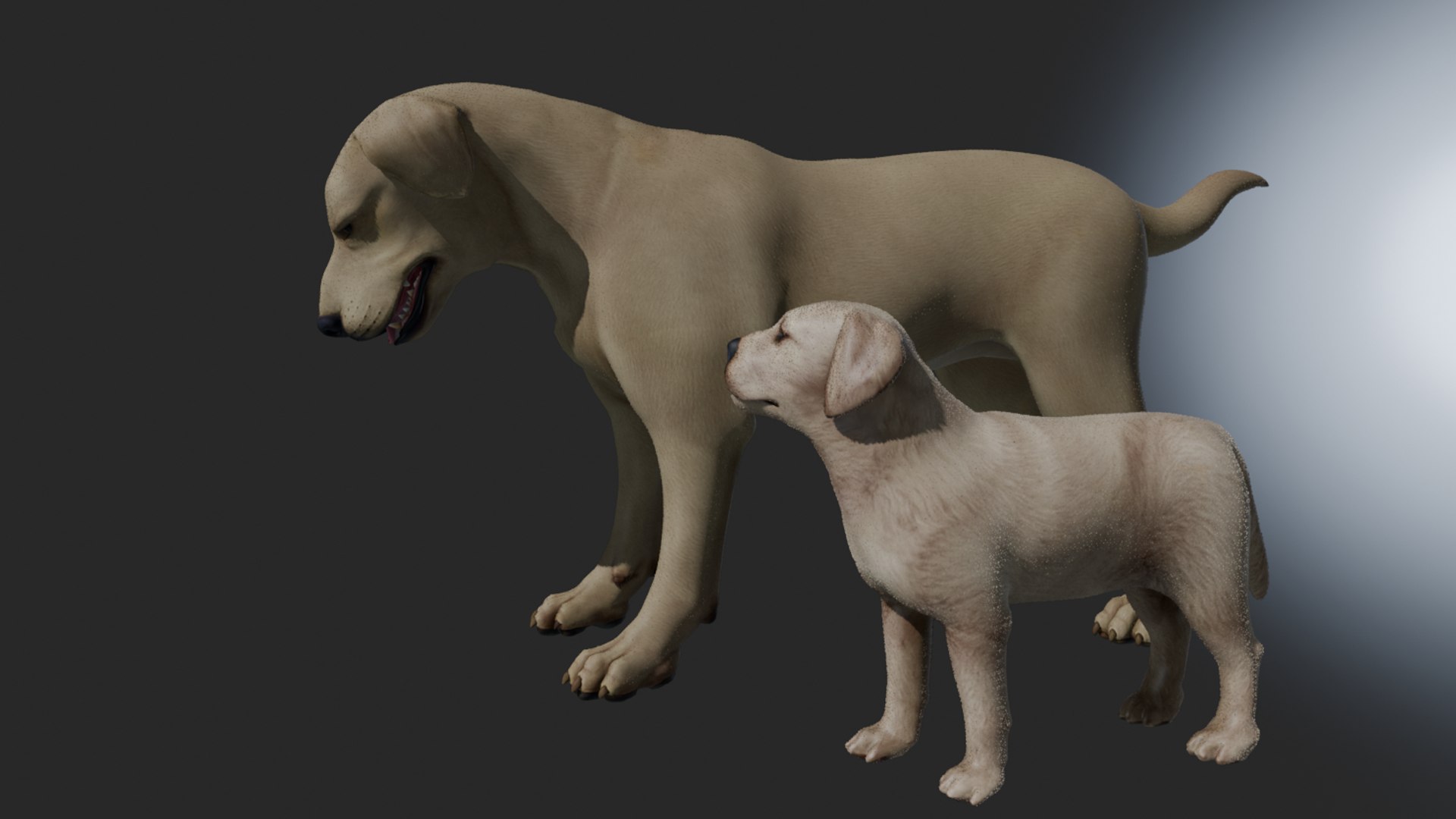 3D Model Labrador Family - TurboSquid 2310627