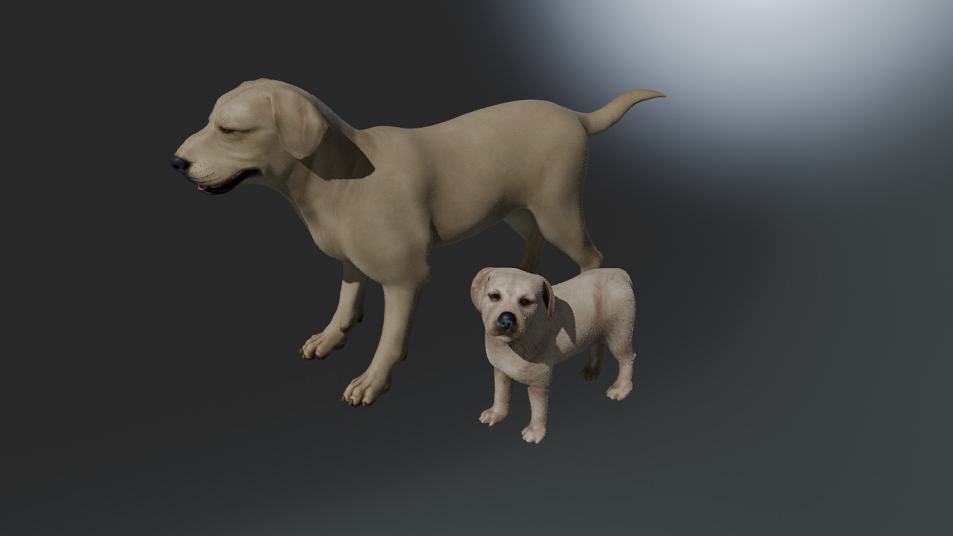 3D Model Labrador Family - TurboSquid 2310627