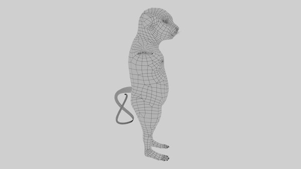 Cartoon Mouse - Rat Human Rigged Character 3D - TurboSquid 1854088