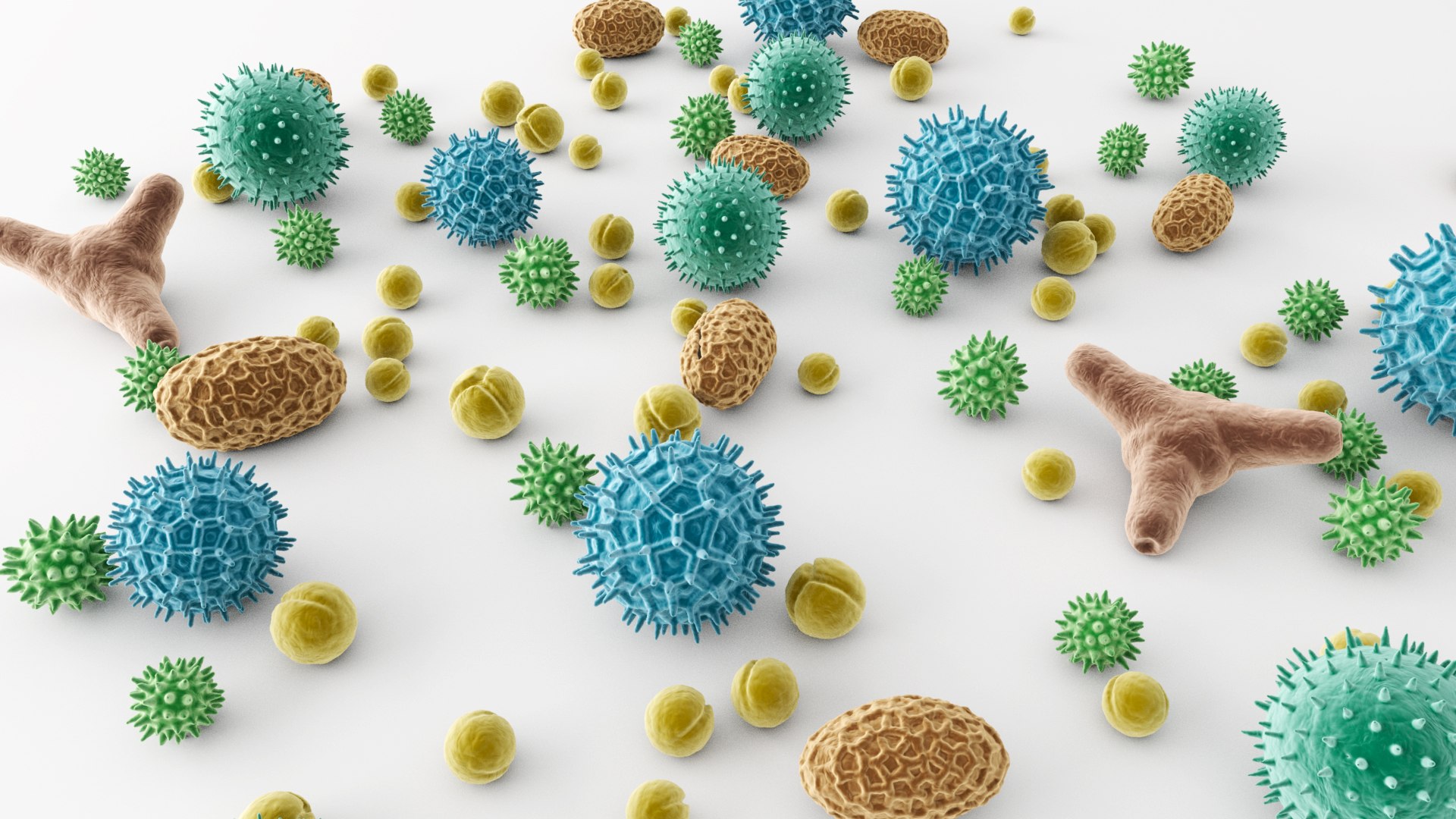 Pollen 3D Model - TurboSquid 2237975