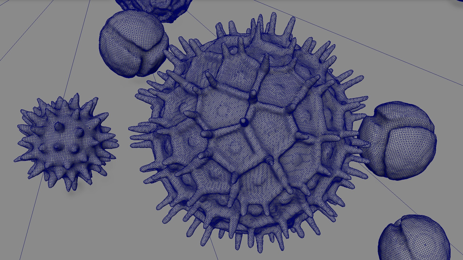 Pollen 3D Model - TurboSquid 2237975