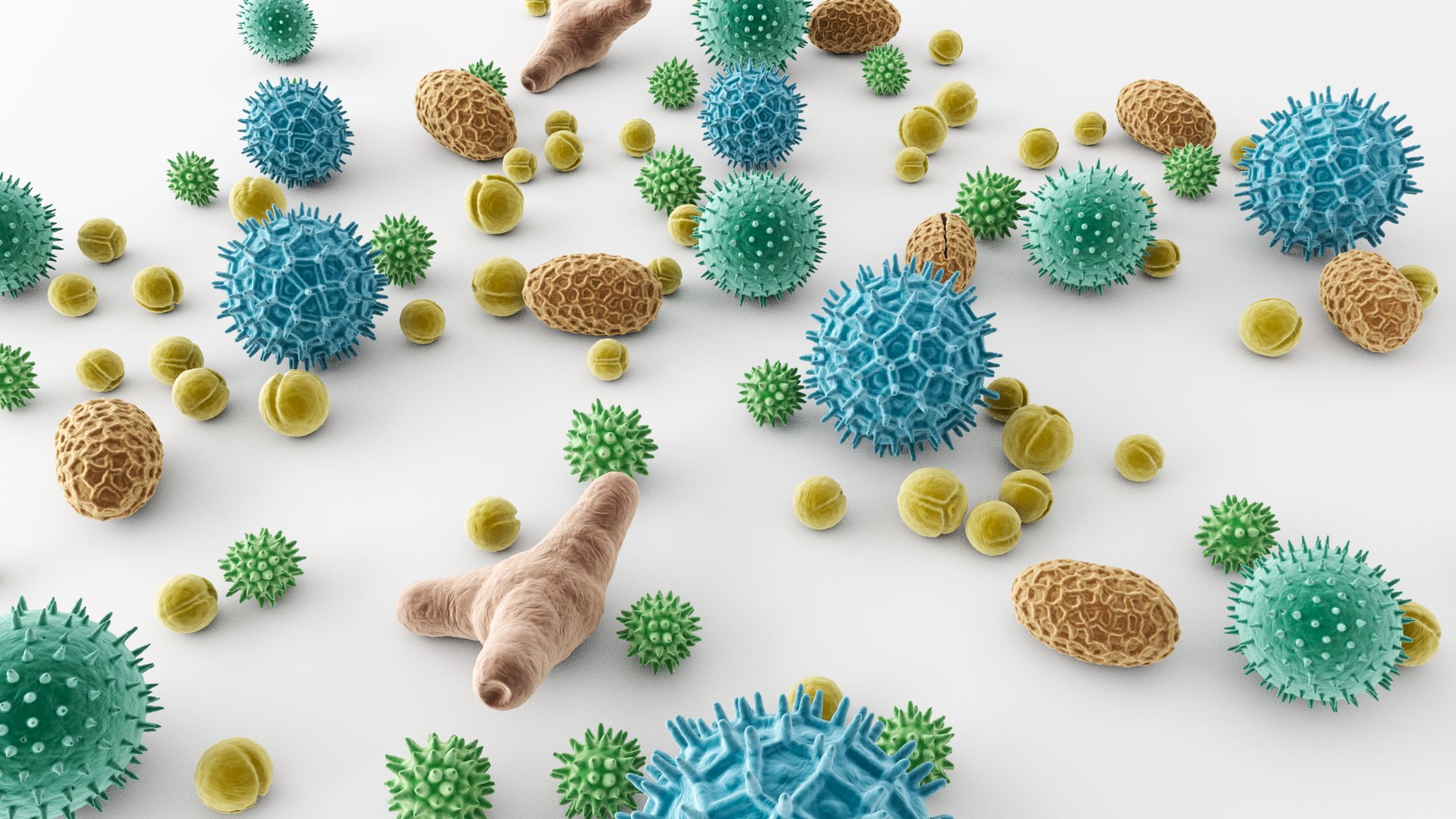 Pollen 3D Model - TurboSquid 2237975