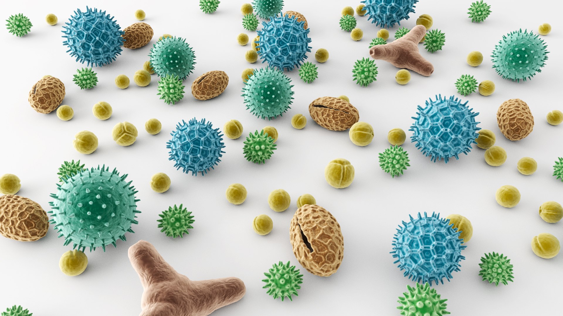 Pollen 3D Model - TurboSquid 2237975